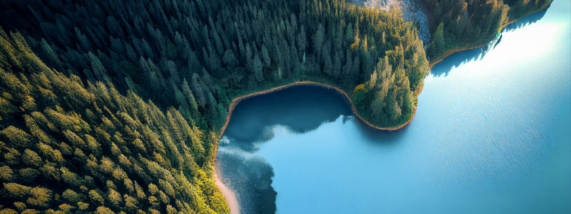 SFAR 2025 - Formation : Les Grands Principes en SSPI - Société ...